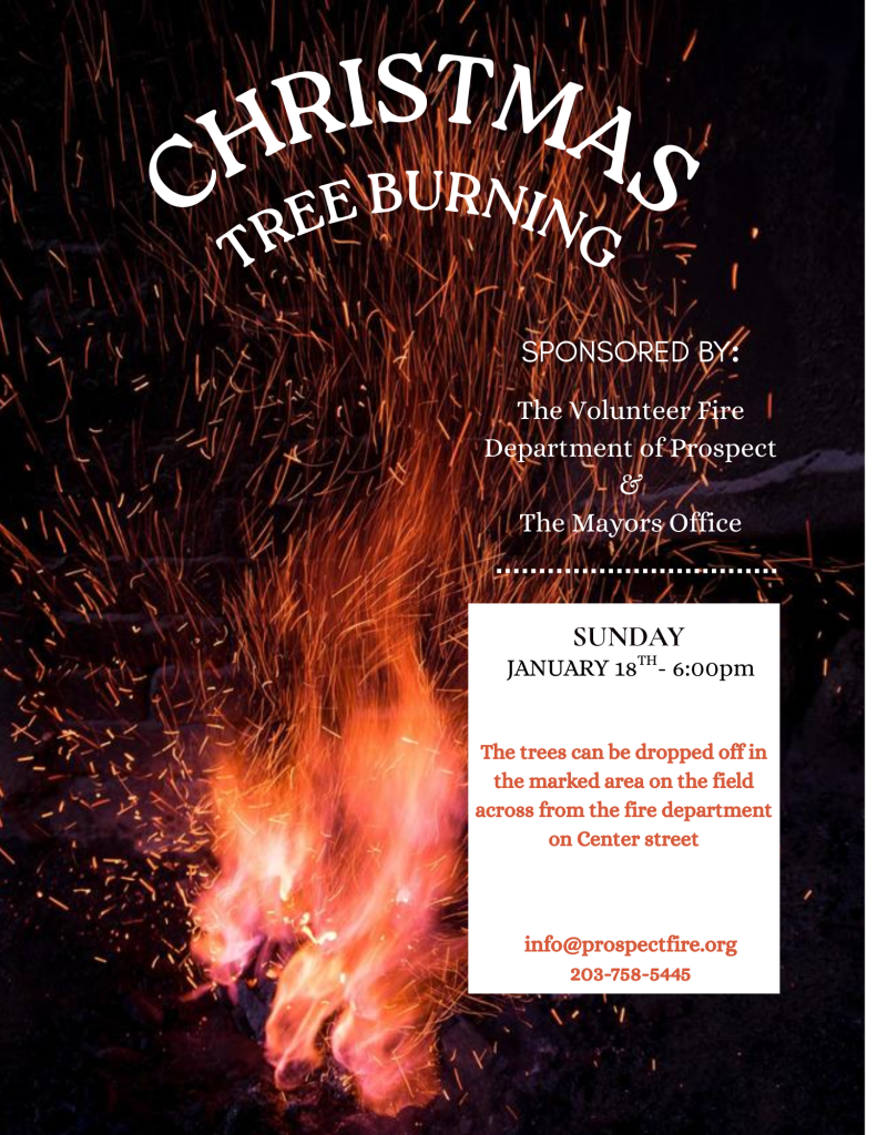 Christmas Tree Burning - Town of Prospect